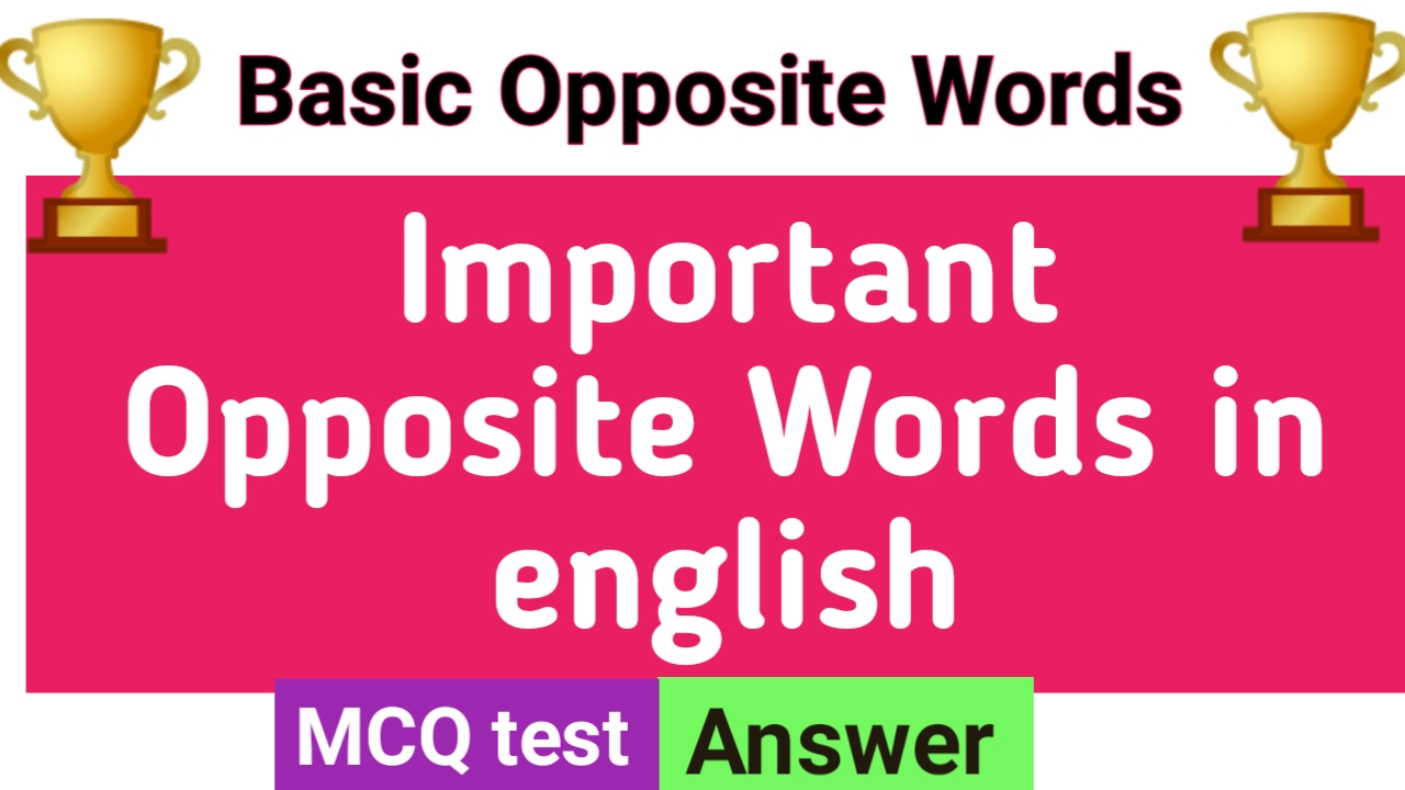 Most Useful Opposite Words Exercise in English For All Classes