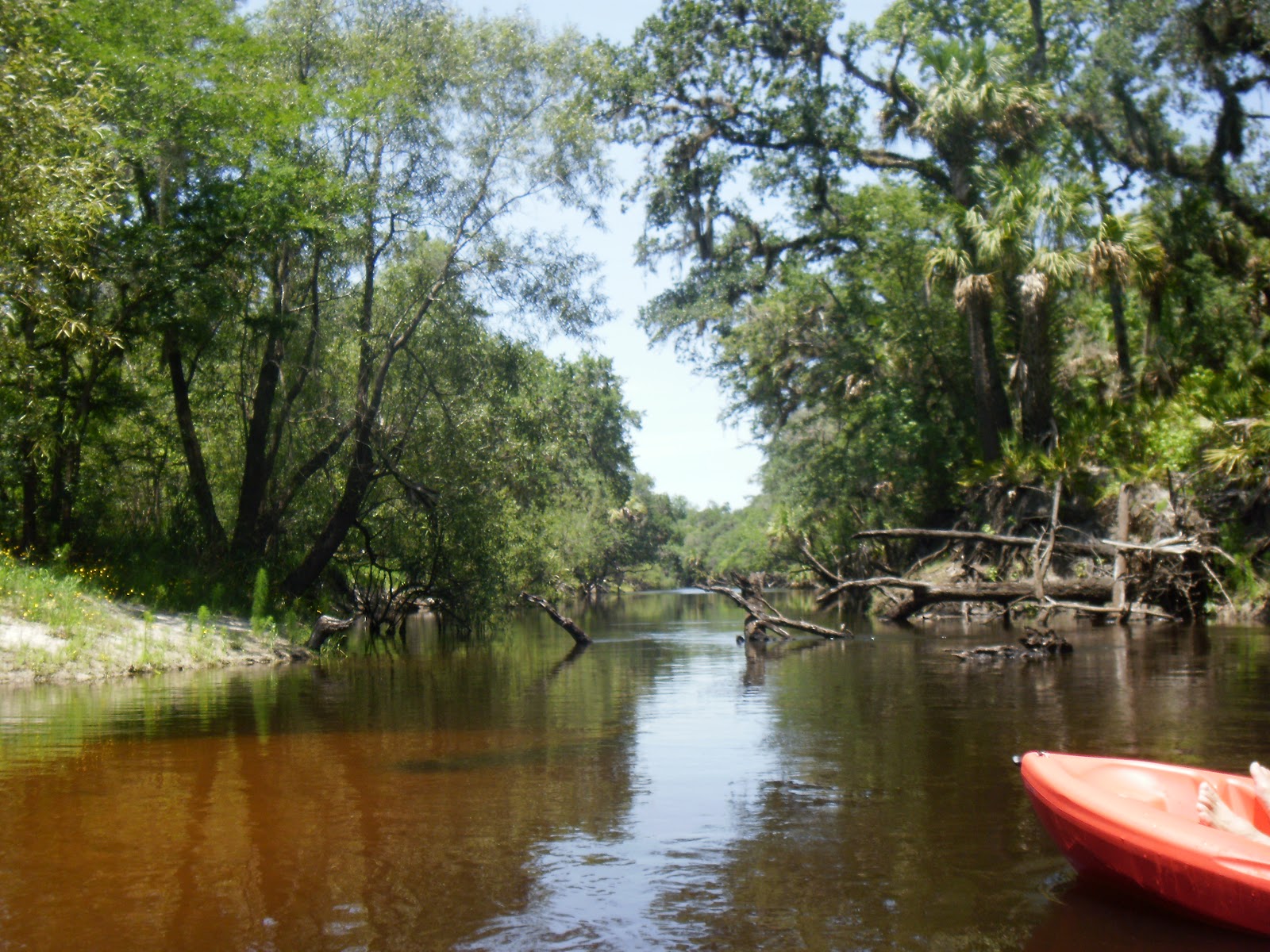 Kayaking Econlockhatchee River ~ When 140 Characters Just Doesn't Cut It...