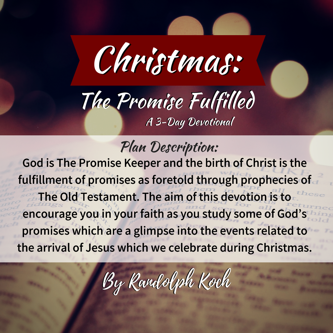 A Shepherd's Heart: It's Beginning To Look A Lot Like Christmas!