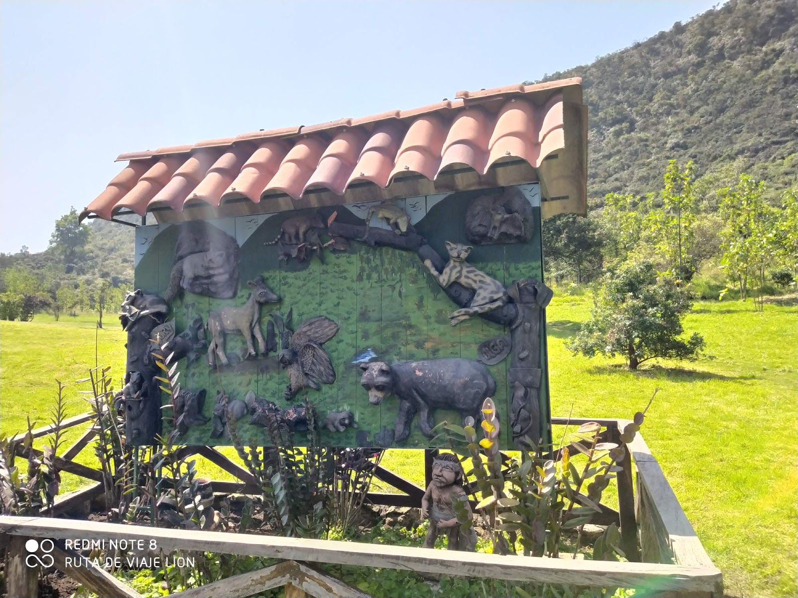 Parque entre nubes - RUTA VIAJE LION