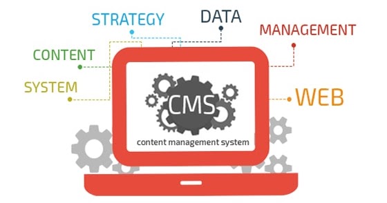 Web content management system - weslogix