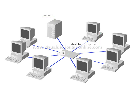 jause: การเชื่อมต่อเครือข่ายแบบสตาร์ (Star Network)