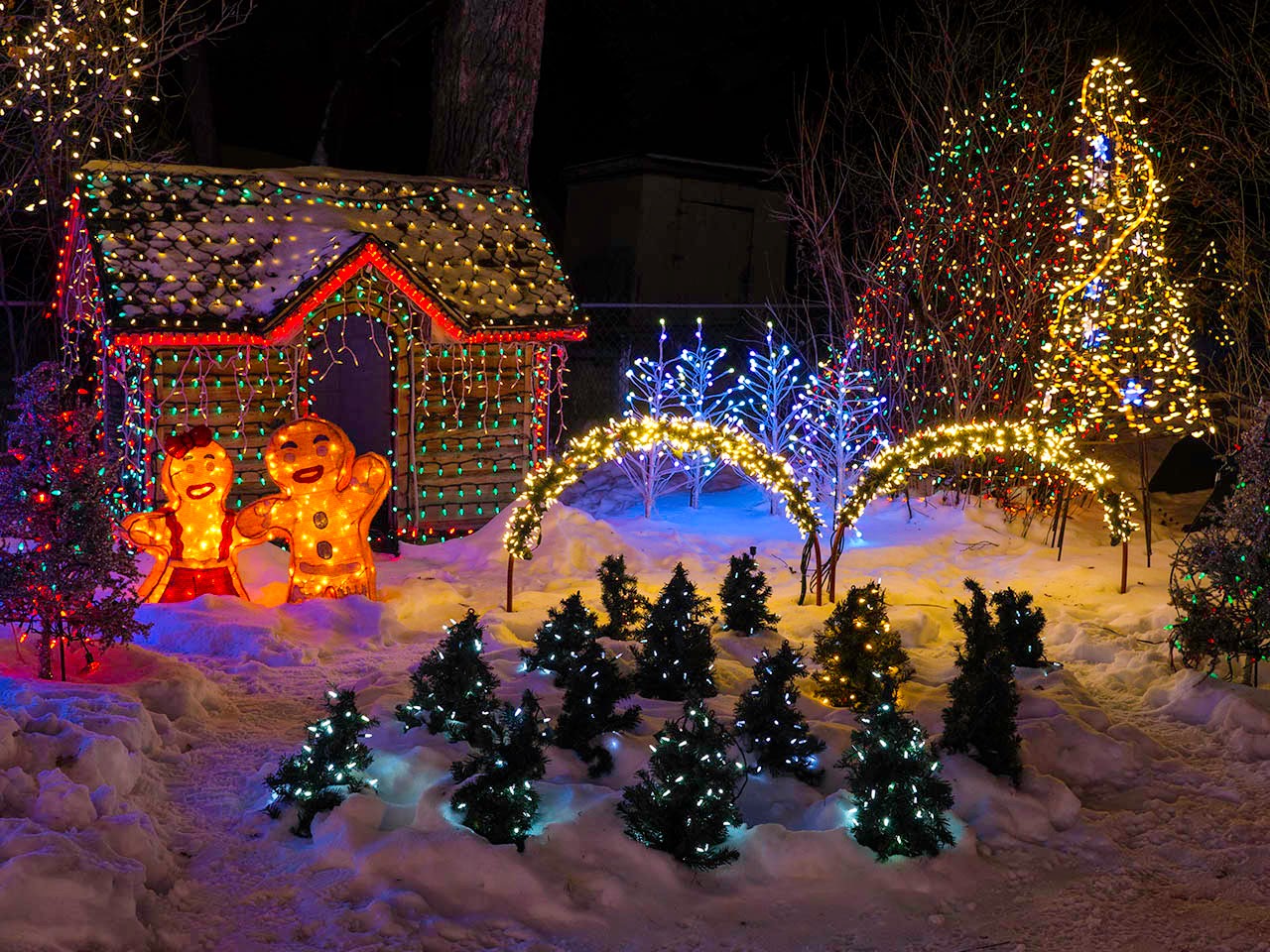 Edmonton Christmas Lights: December 2014