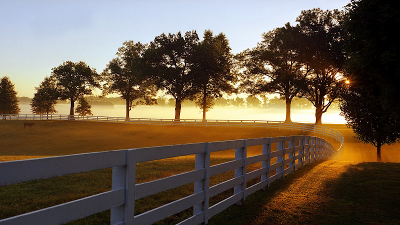 HD 2012 Wallpapers: HD Creative Wallpapers 2012 set 9