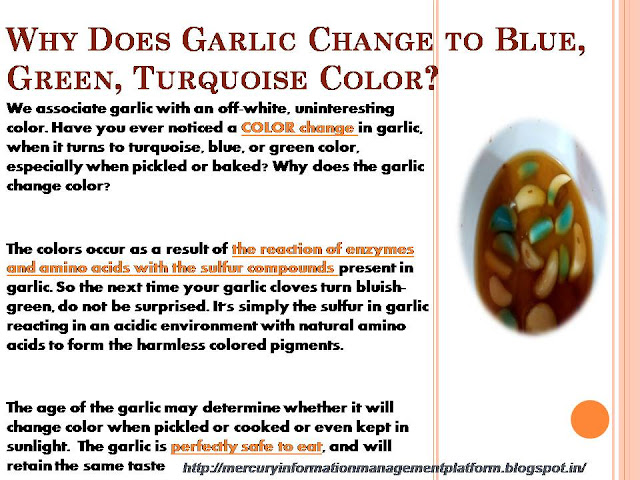 Have You Seen Blue Garlic Color; What Are the Reasons