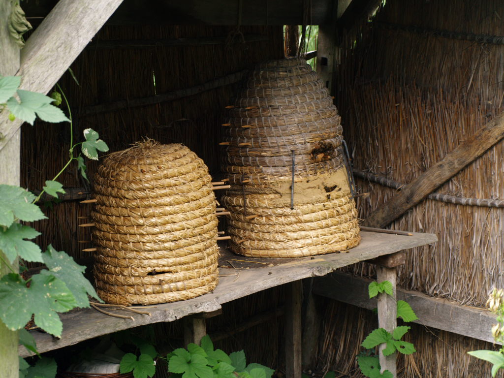 HET LEVEN IN DE IJZERTIJD: Bijen, honing en mede