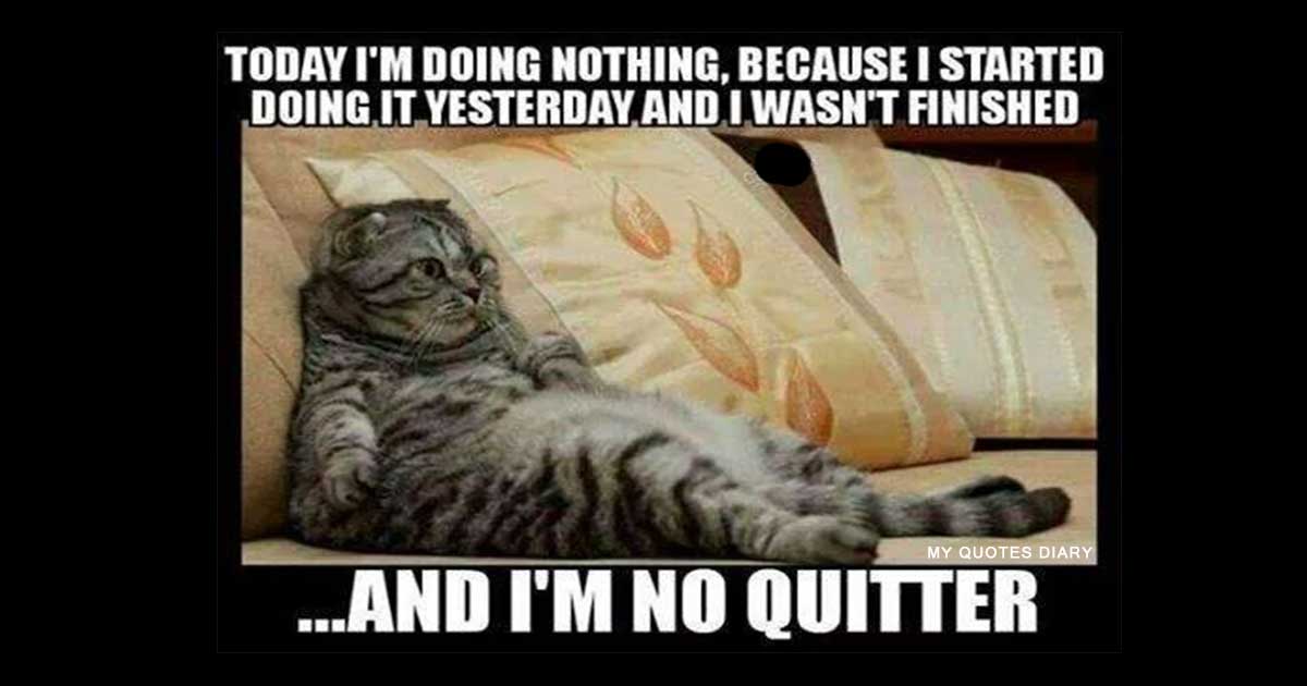 Funny Happy Weekend Memes Quotes With Funny Weekend Images funny-happy-weekend-memes-quotes-with-funny-weekend-images