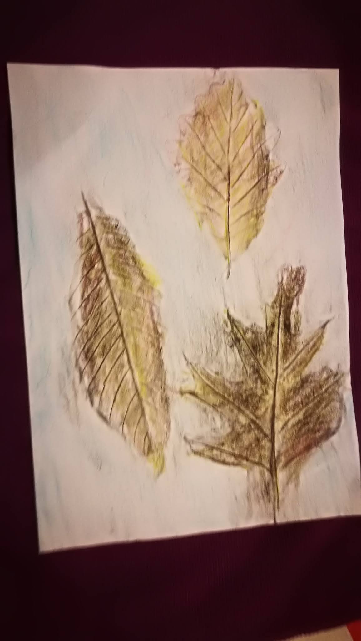 JESENSKO LISTJE V JESENSKIH BARVAH