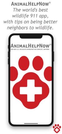 Pet Aware - Valuable Information and Resources: Animal Help Now ...