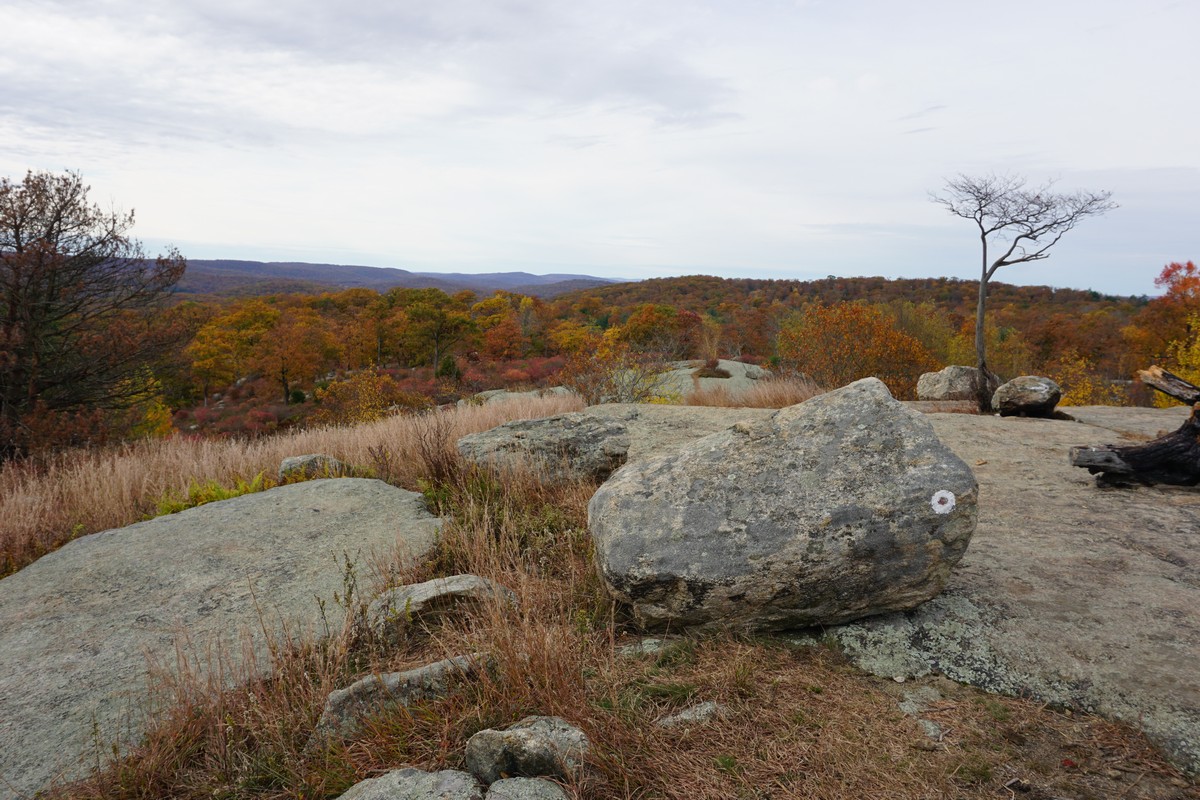 Harriman Hiker: Harriman State Park and Beyond: Hogencamp Mountain and ...