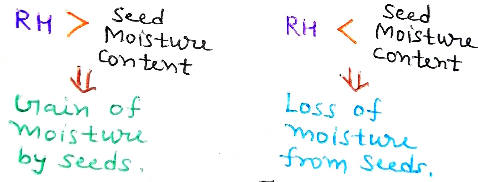 Seed Storage: General Principles, Stages and Factors Affecting Seed ...