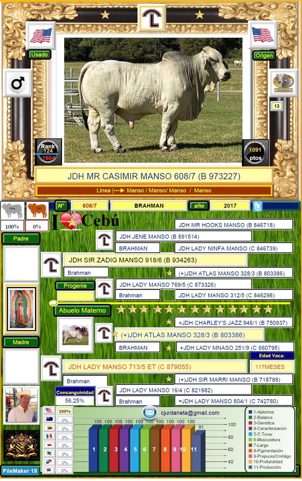 CebÚ ♥ ♥ ♥ ZebÚ♔♕♖♗♘ La PasiÓn Por El CebÚ Zebu Jdh Mr Casimir Manso 6087 B 973227