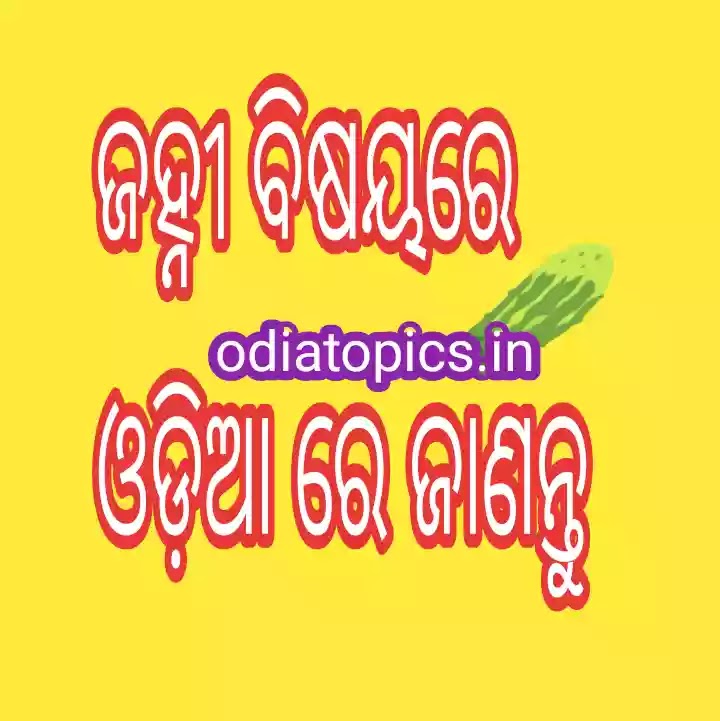 janhi vegetable in english complete details gourd in odia
