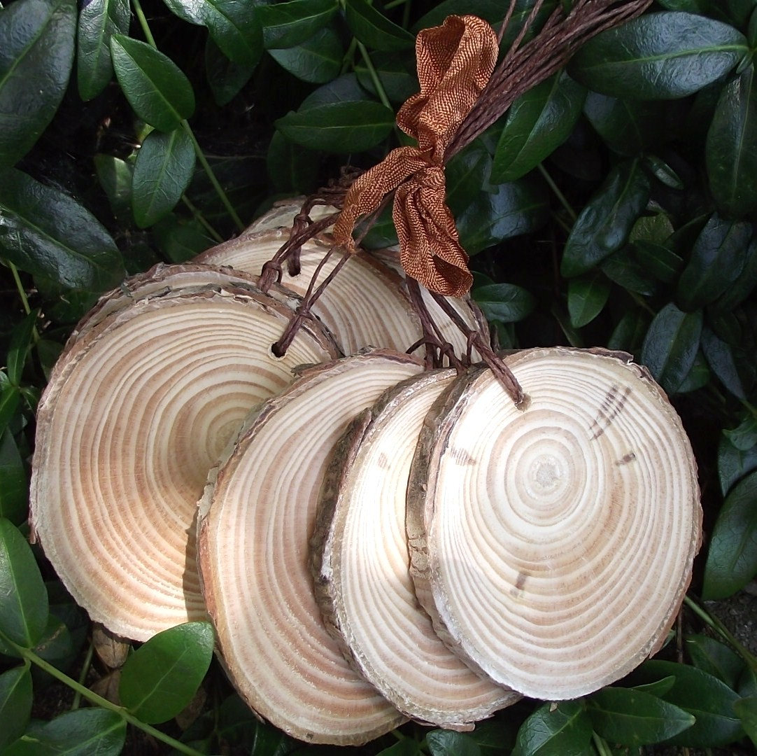 A Remark You Made: News From the Workshop