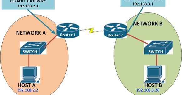 Buzz Learner: Network layer (Lesson: 5)