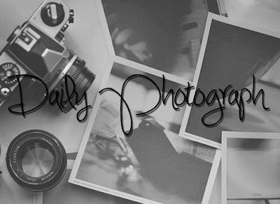 Maddie's Corner: Daily Photograph