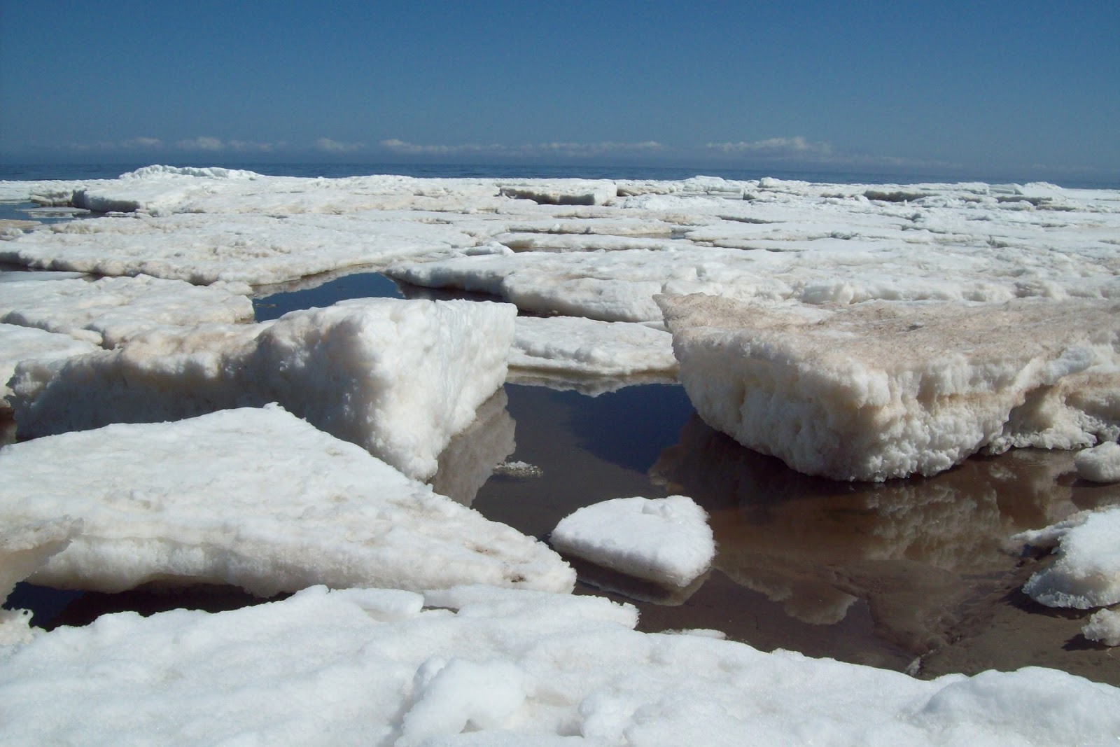 journal illustrations and musings: the sound of melting snow...