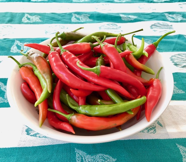 How to make chilli jam | down to earth