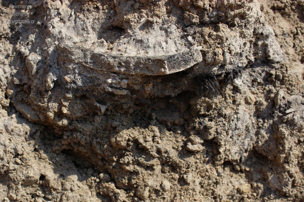 Journeys across Karnataka: Prehistoric Ash-mound of Hallur