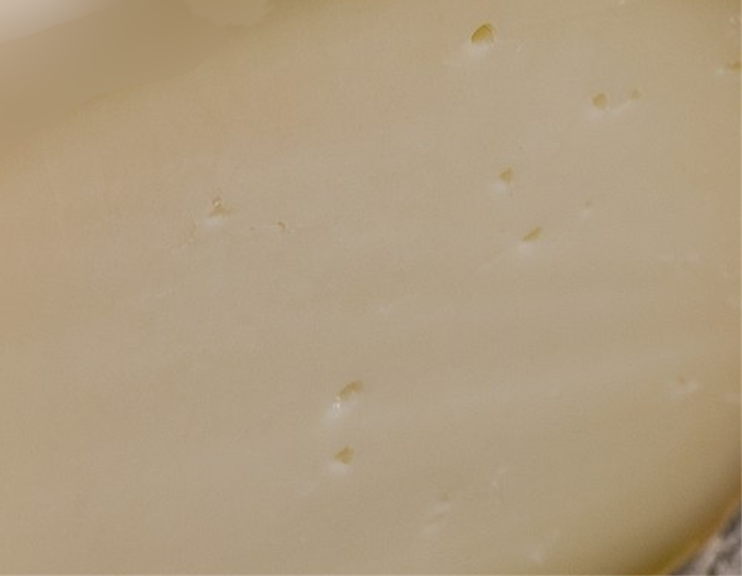 Delicioso, Another Name for Delicious: New Creamy Vegan White Cheese