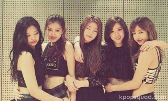 Profil Biodata, Biografi dan Fakta Lengkap PINK PUNK, Sembilan Member ...