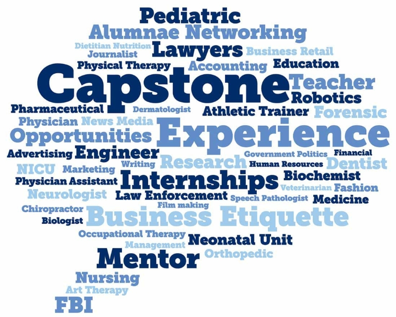 Capstone - Master Student