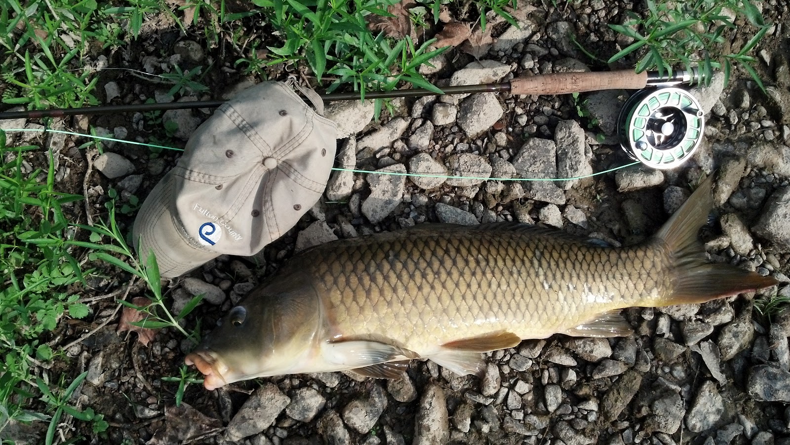 Blue Collar Bonefish