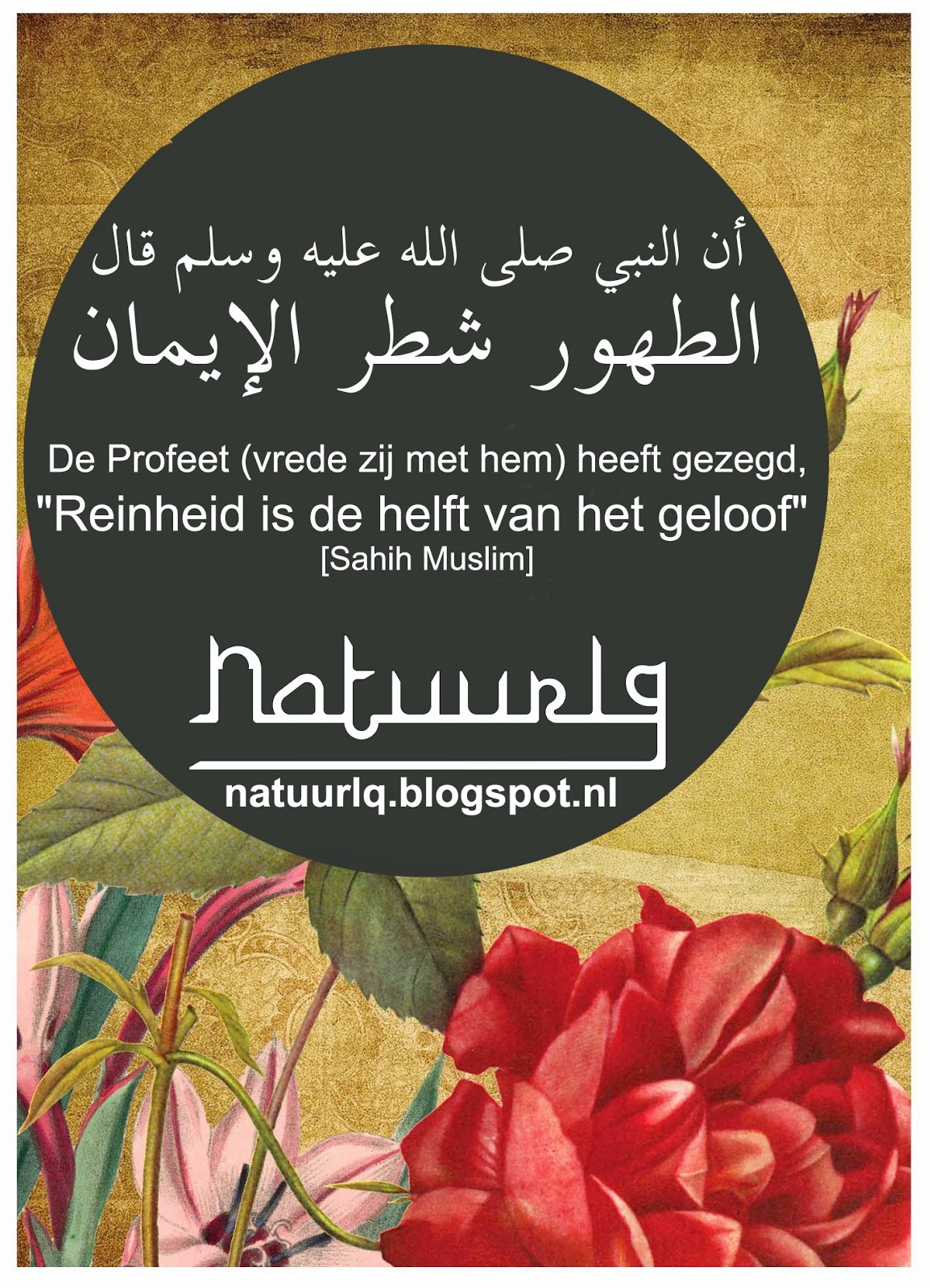 Natuurlq: Reinheid is de helft van het geloof