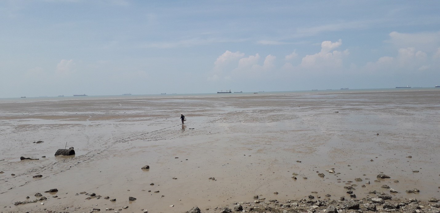 Mohd Faiz bin Abdul Manan: Pantai Tanjung Rhu @ Pulau Carey