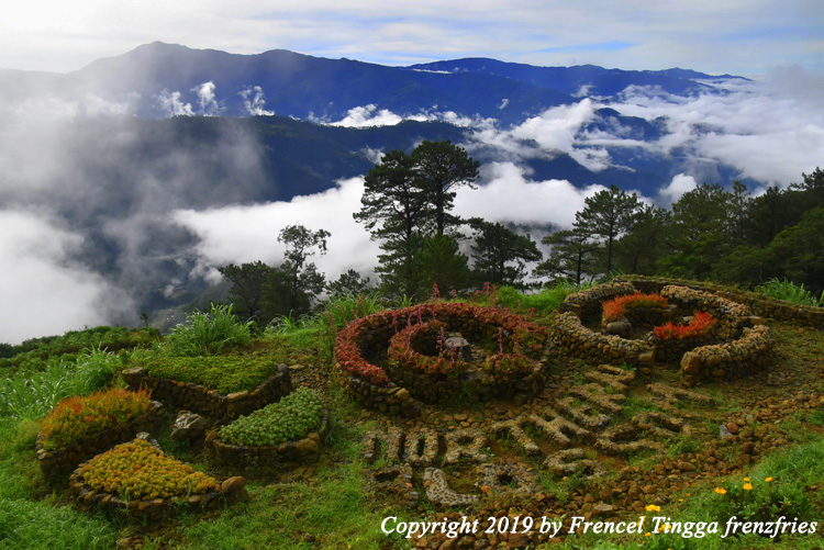Frenz Fries: Northern Blossom Flower Farm, Atok