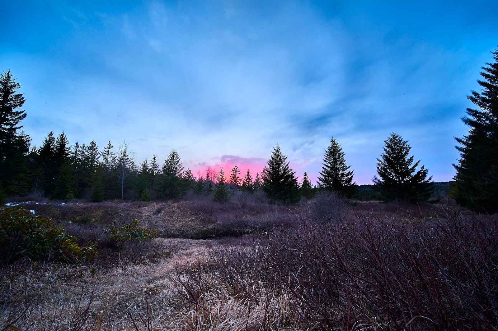 Dolly Sods spring | Backcountry Post