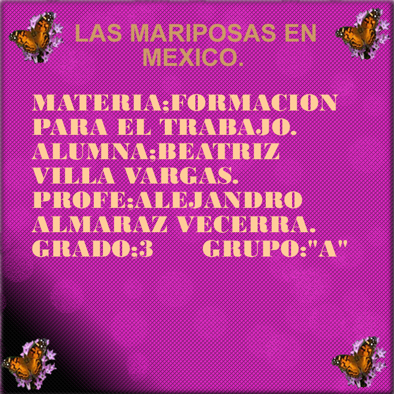 LAS MARIPOSAS EN MEXICO