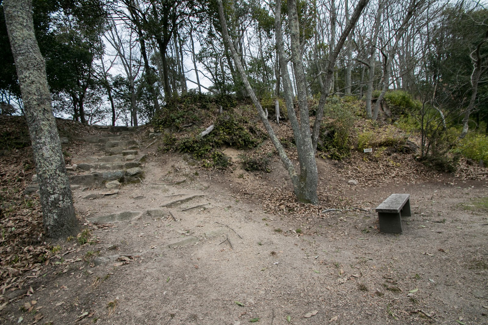 Niitakayama Castle -Intellectual pillar of Mouri clan (2)- | Japan ...