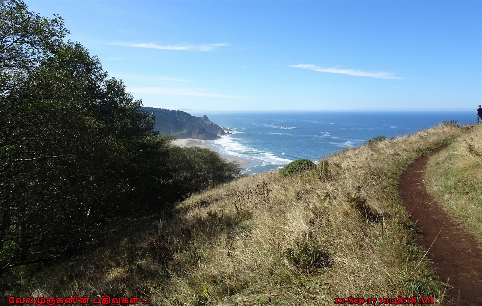 Cascade Head Hike Oregon - Exploring My Life