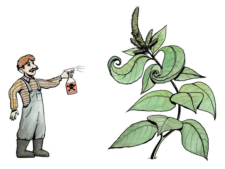 HOW TO FIGHTING PLANT ENEMIE?