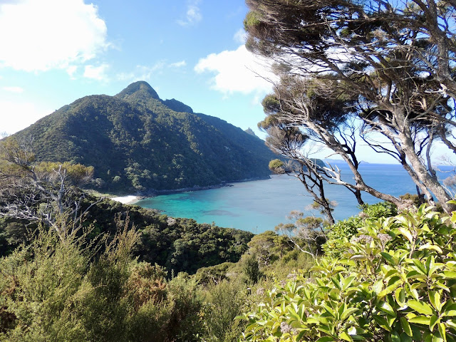 THE ROAD TAKEN : Busby Head Track