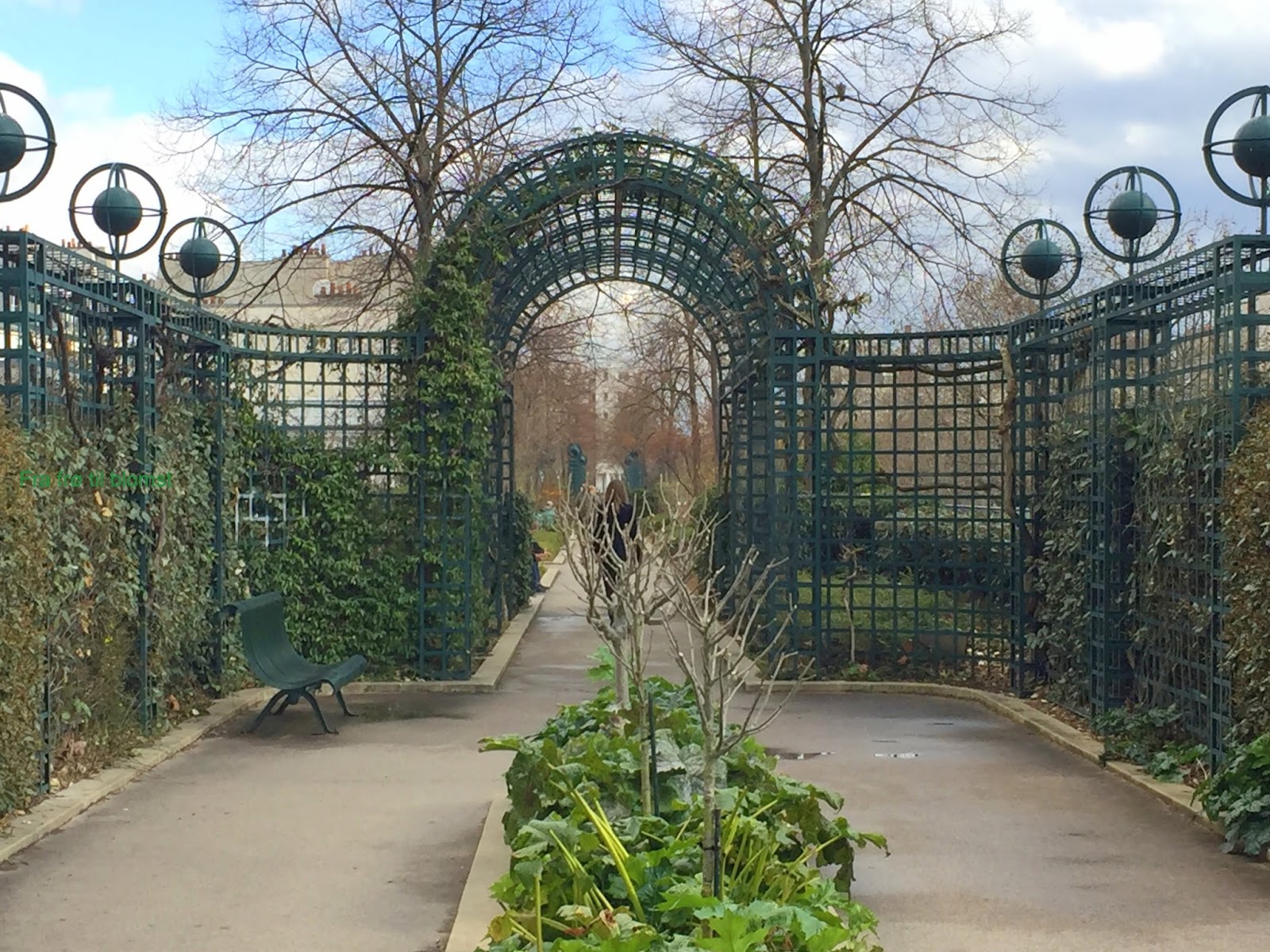 Fra frø til blomst: Promenade plantée - High Line i Paris