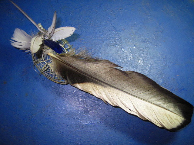 Ms Uncertainty Principles: Feather Muse Friday A FEATHER BUT NOT THE ...