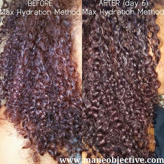 Max Hydration Method Update: Days 4, 5 and 6 | The Mane Objective