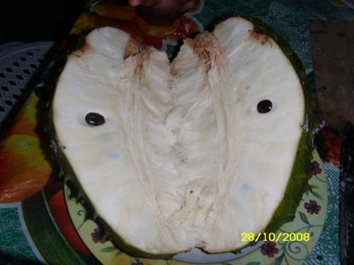 TAMBUA UMUHIMU WA TUNDA LIITWALO STAFELI | Freemmile