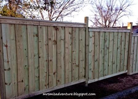 Mrs. (Mis)Adventure: Fence Part Six: Dressing up the Fence