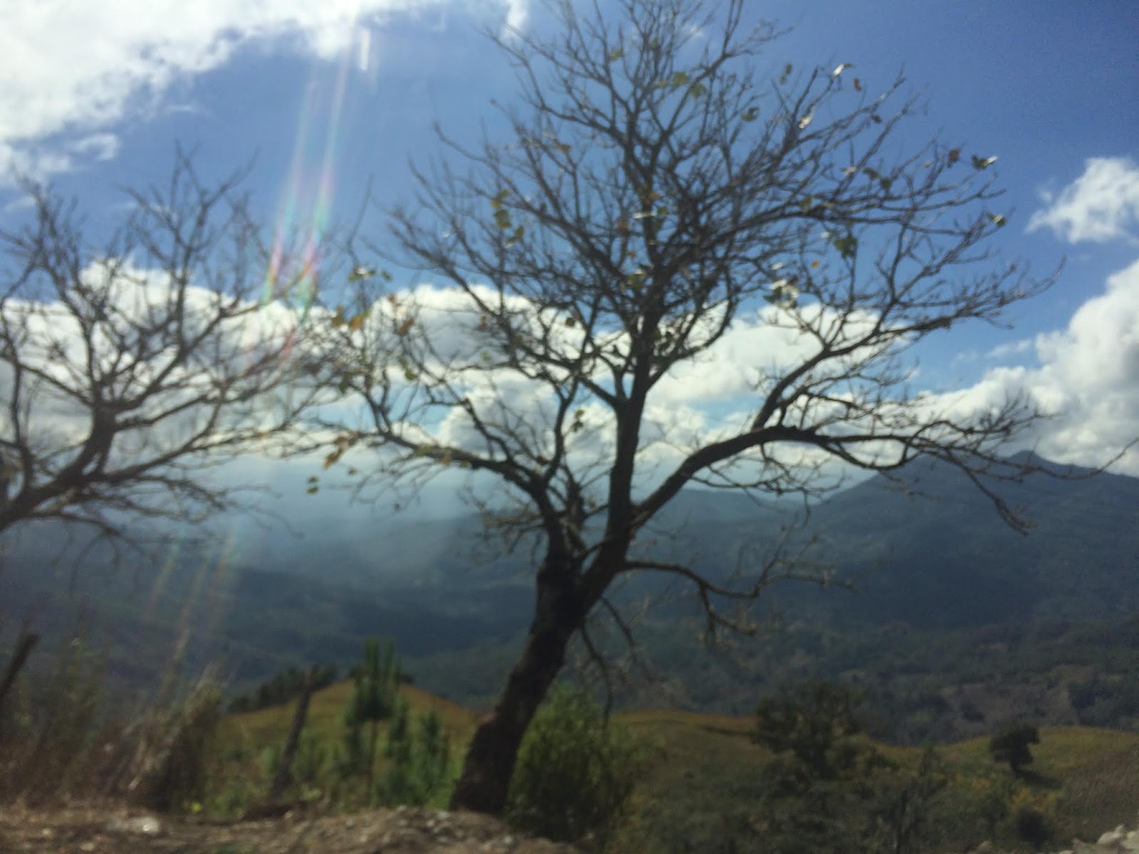 el Paraíso terrenal | Hechos y Palabras