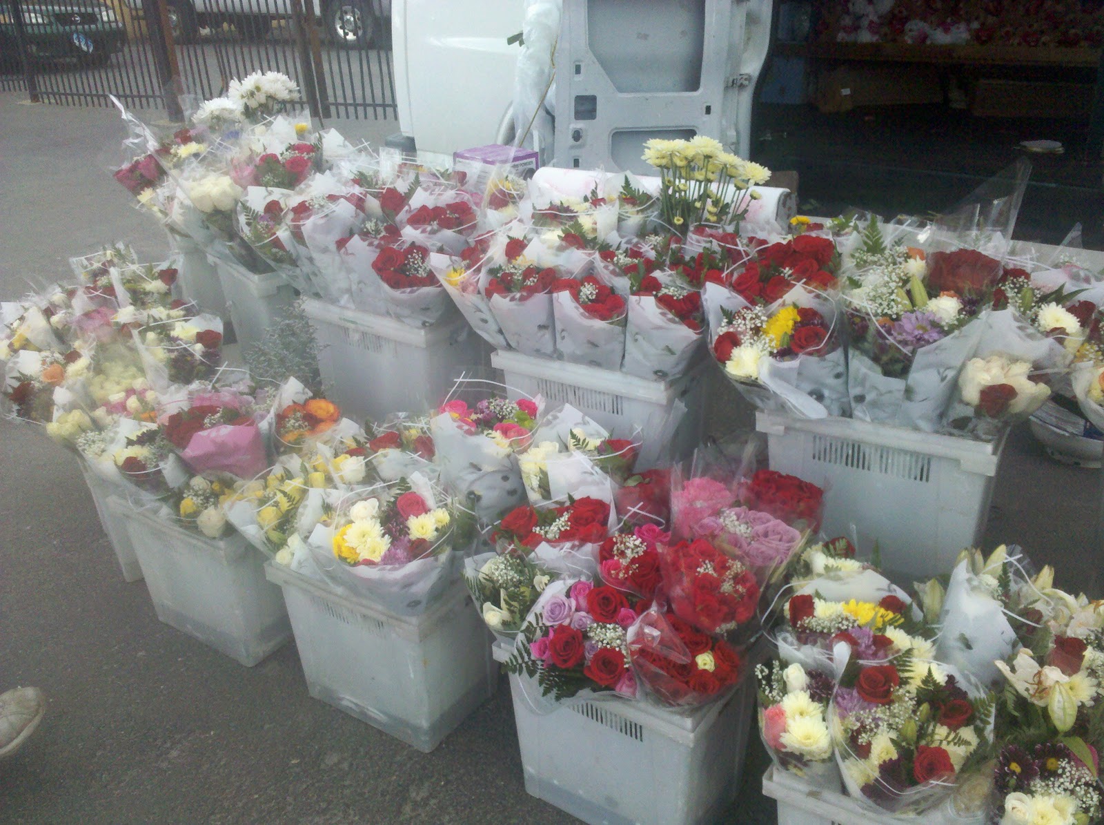 Sad City Hartford: Hartford Business: The Flower Van