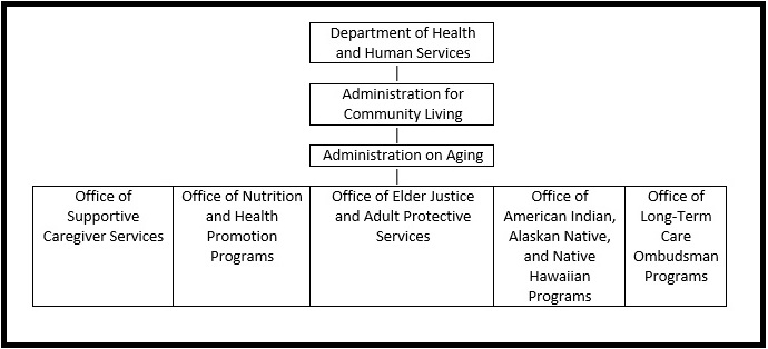 The Generation Above Me: Org Chart for Administration on Aging