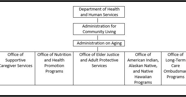 The Generation Above Me: Org Chart for Administration on Aging