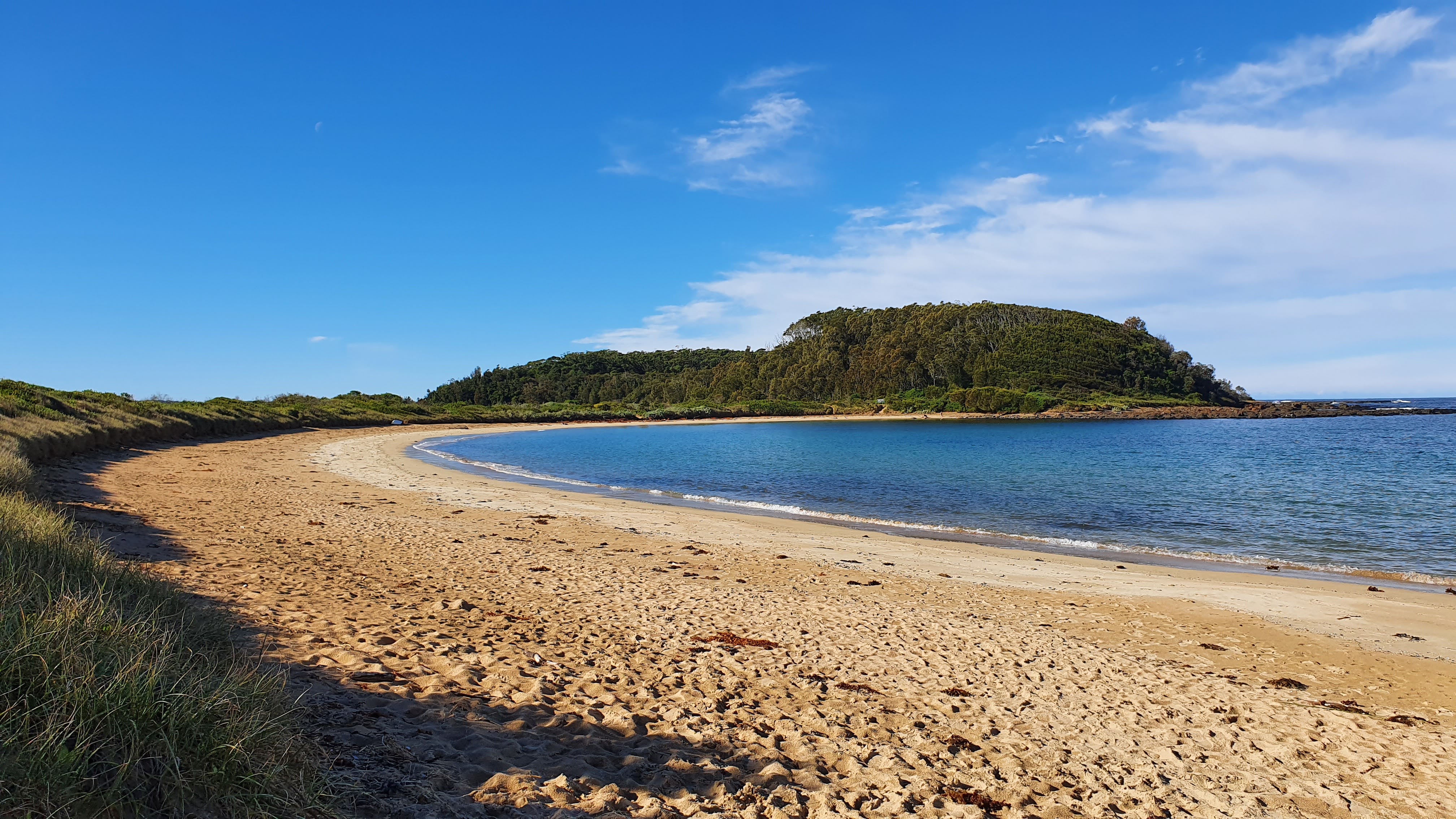 VK1DI's Blog: Broulee Island Nature Reserve VKFF-2546