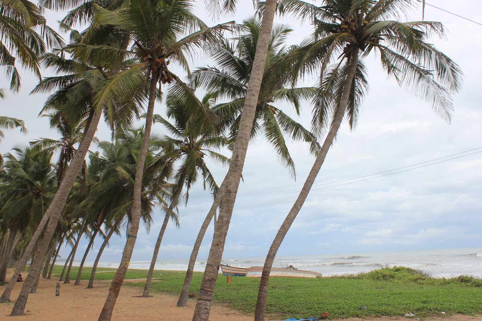 PAYYOLI BEACH : 10 AMAZING THINGS YOU NEED TO KNOW