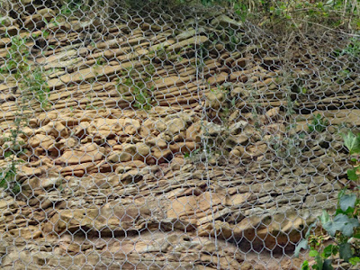 The Language of Stone: Red Mansfield Dolomitic Sandstone