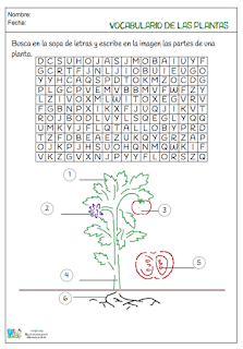 NUESTRO BLOG CEIP ESPARTALES Alcalá de Henares: Árboles y Plantas (AL ...