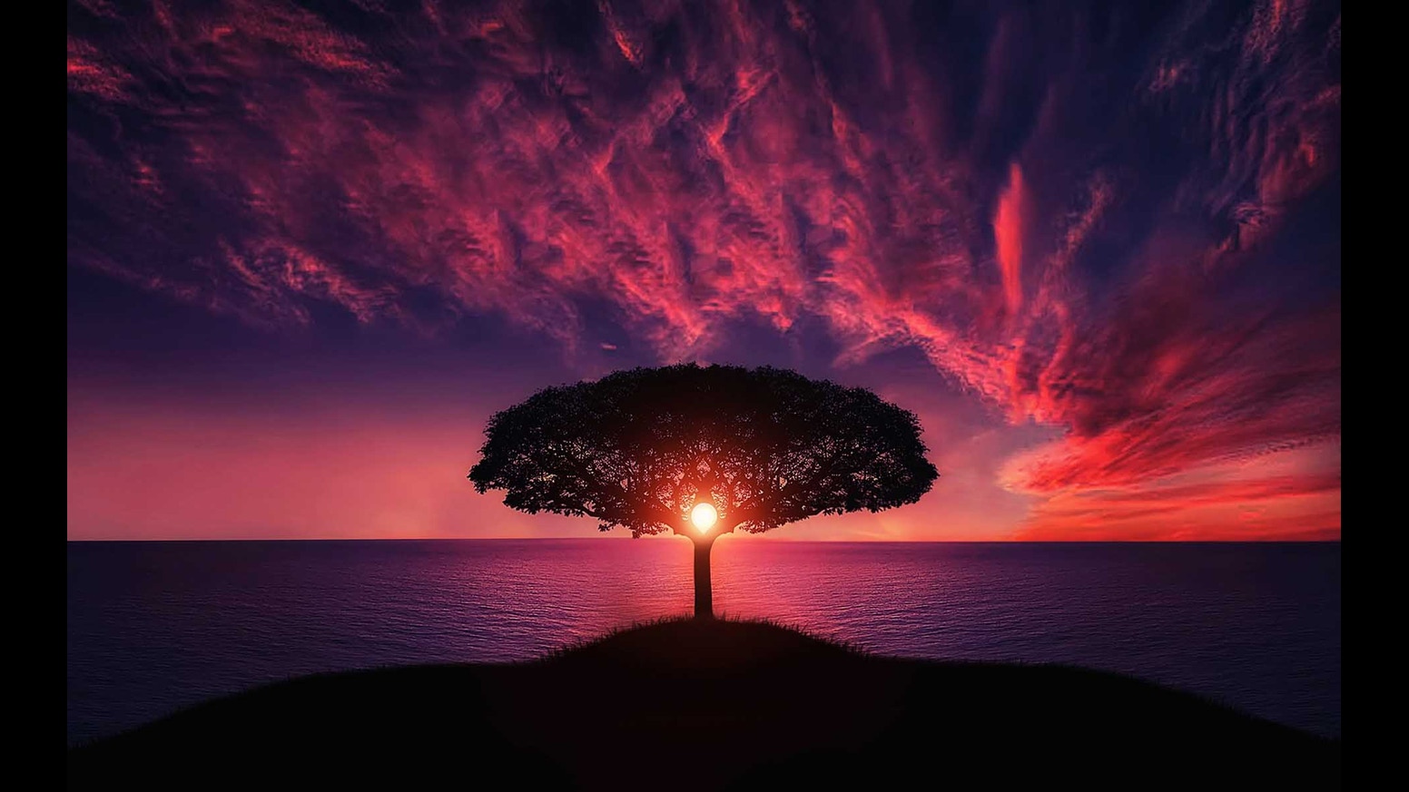 Stratosferia: Ryan Yard The Nature of Solitude